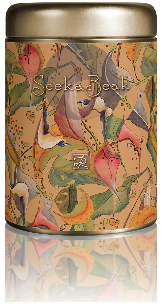 SEEKABEAK : : surface design : : digital download – Lisa Rivas